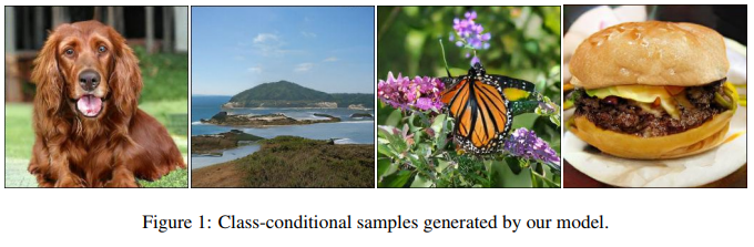 Large Scale GAN Training For High Fidelity Natural Image Synthesis